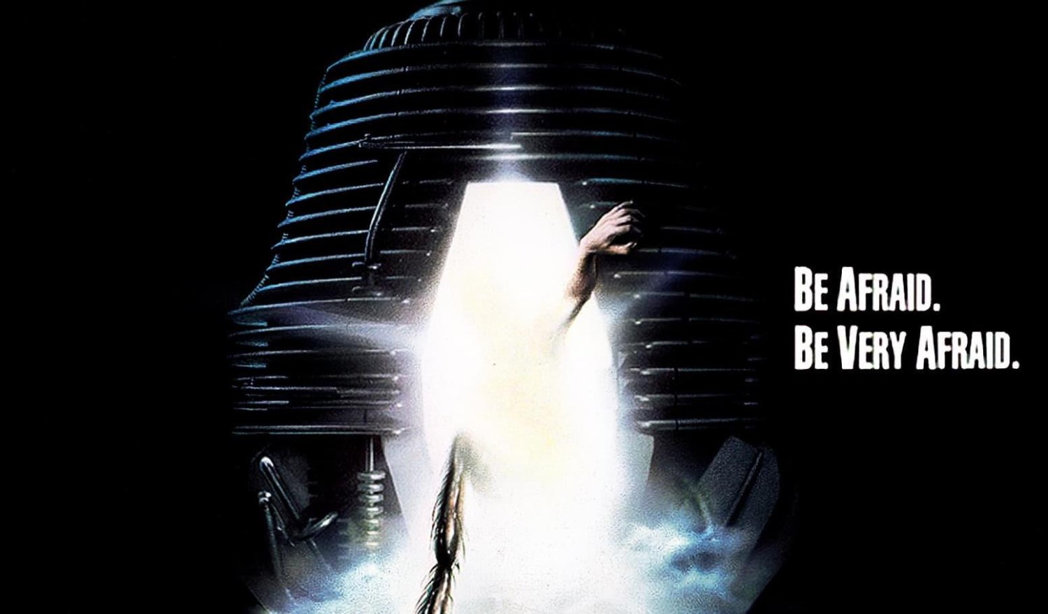 THE FLY: New Movie Set In The Same Universe As Cronenberg's Classic In ...