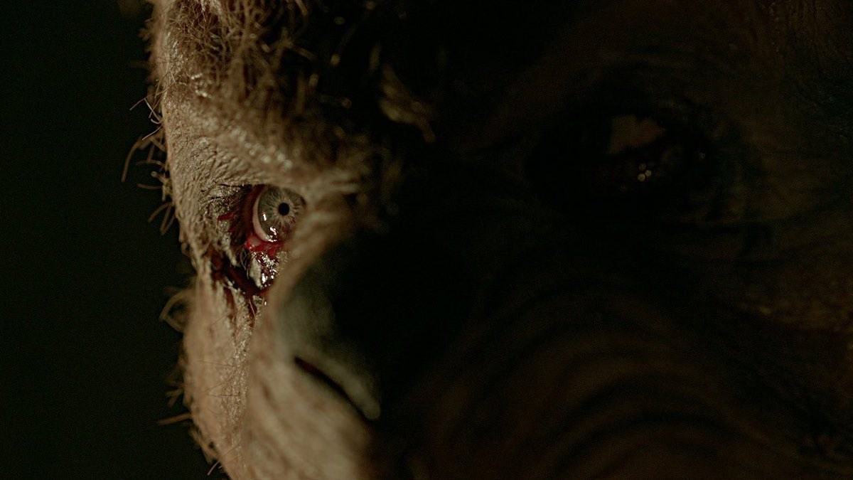 WINNIE THE POOH: BLOOD AND HONEY 2 Stills Bring Back Christopher Robin ...